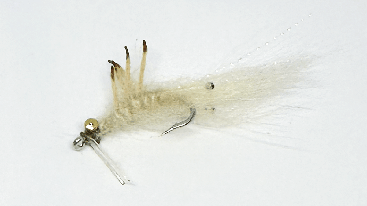 James' Sand Prawn JSP04 – Nervouswater